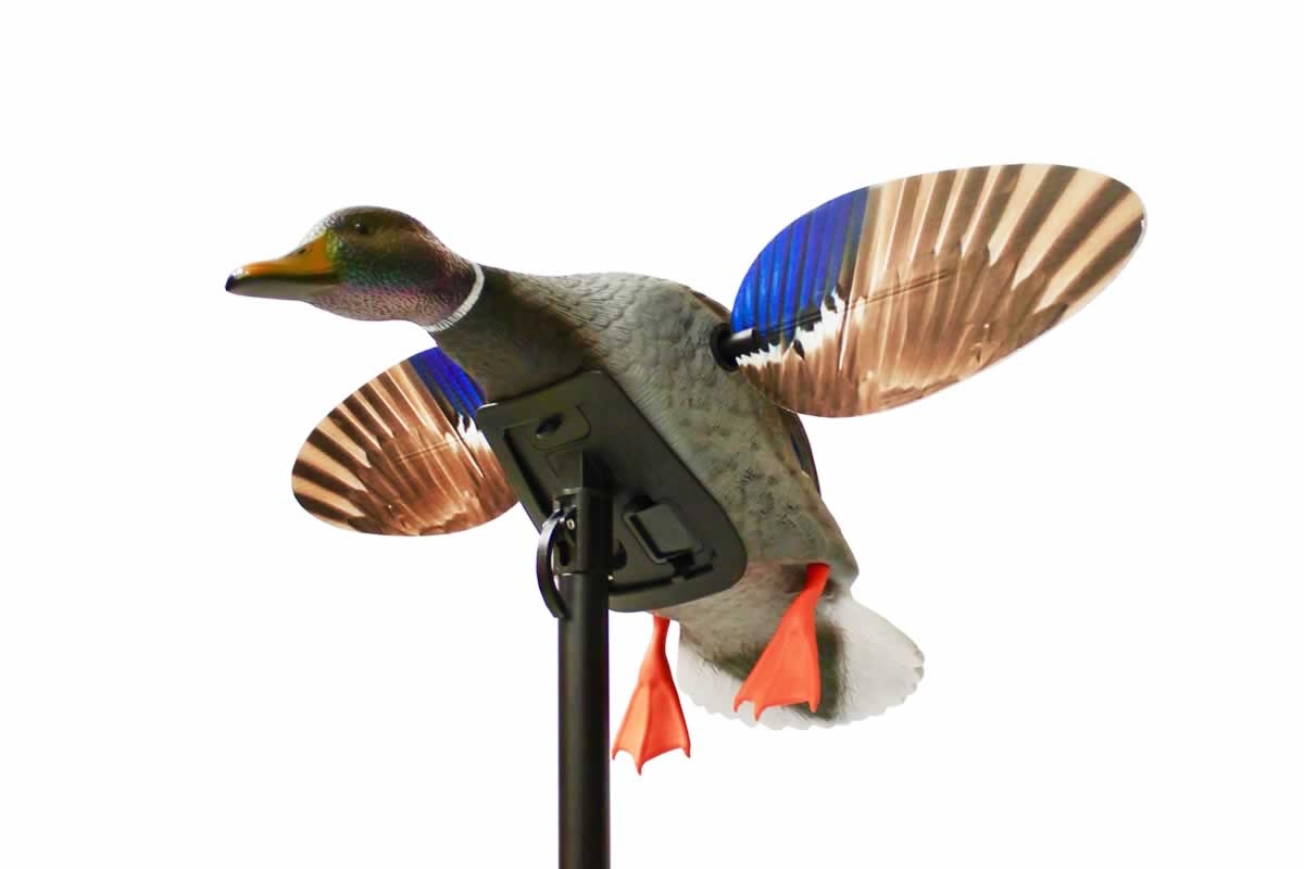 Mojo Elite Series Mini Mallard Drake Decoy Review - The Civil War