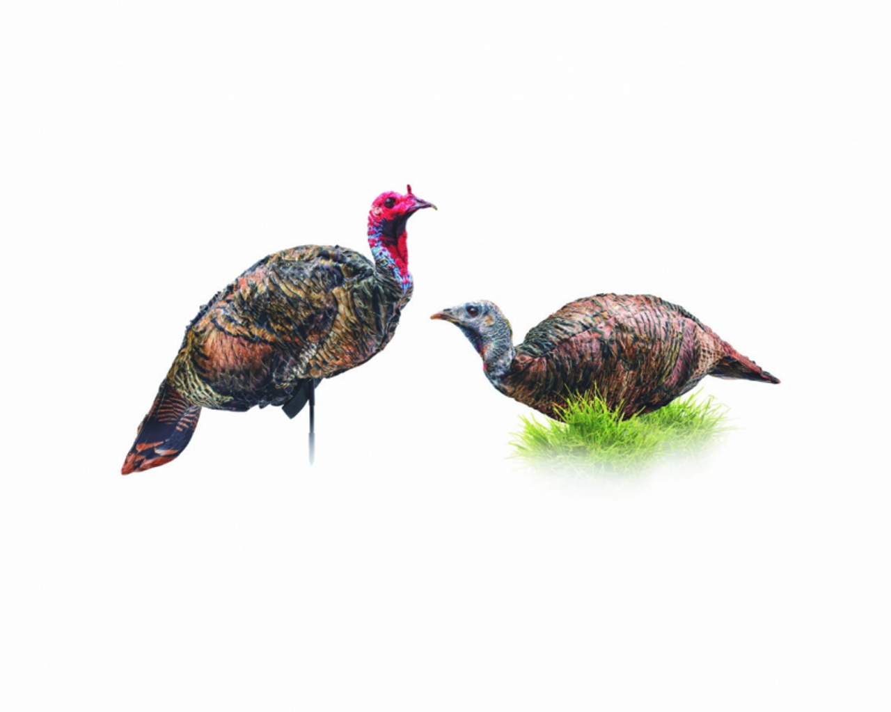 Montana Decoy Co. PurrFect Pair XD Turkey Decoy Combo Review - The ...