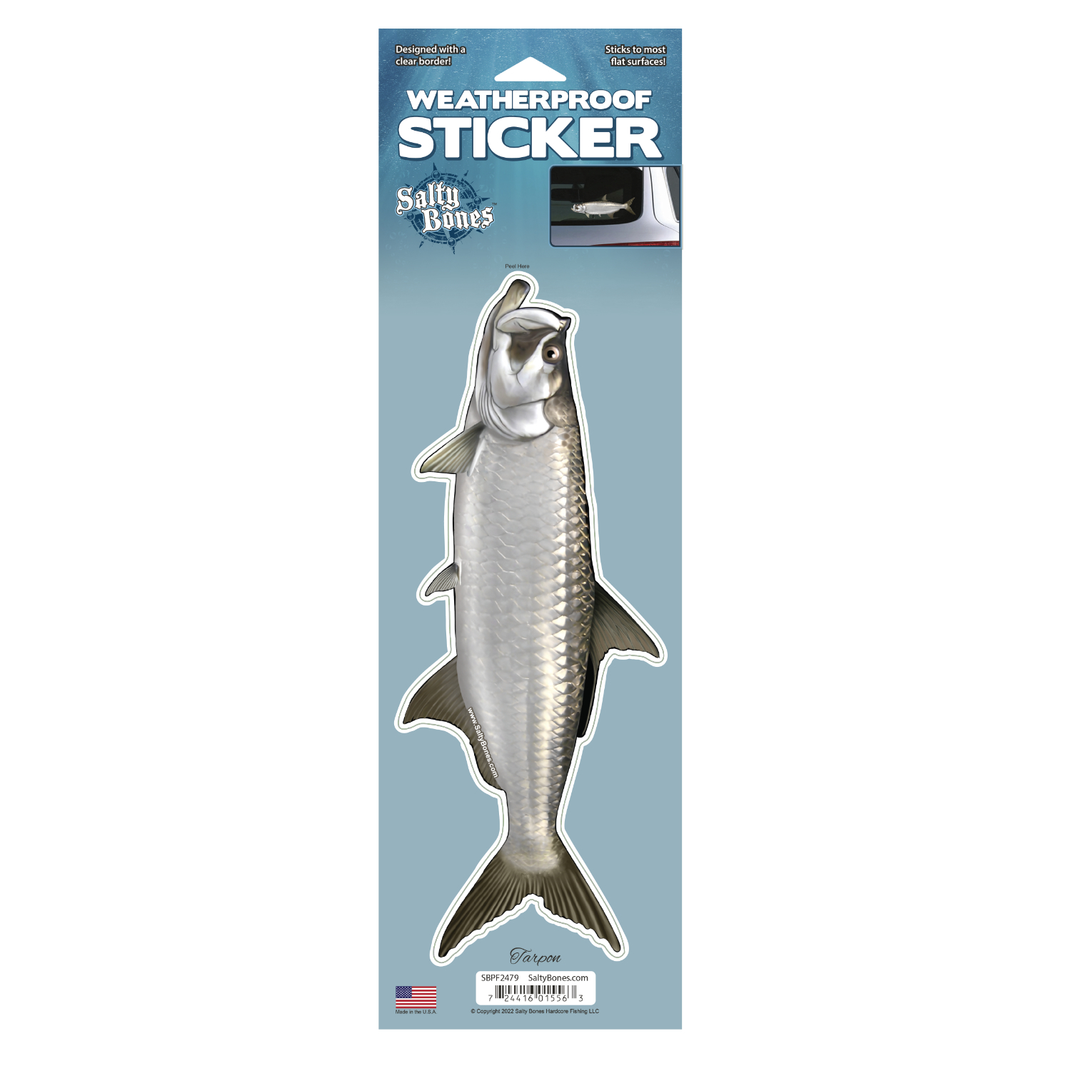 Salty Bones Decal Review - The Civil War