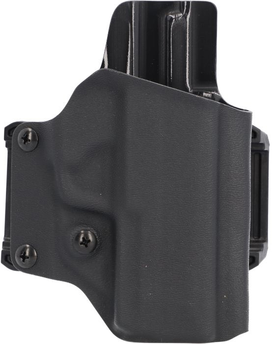 SIG SAUER BlackPoint Tactical OWB Holster, SIG - 1 out of 2 models ...