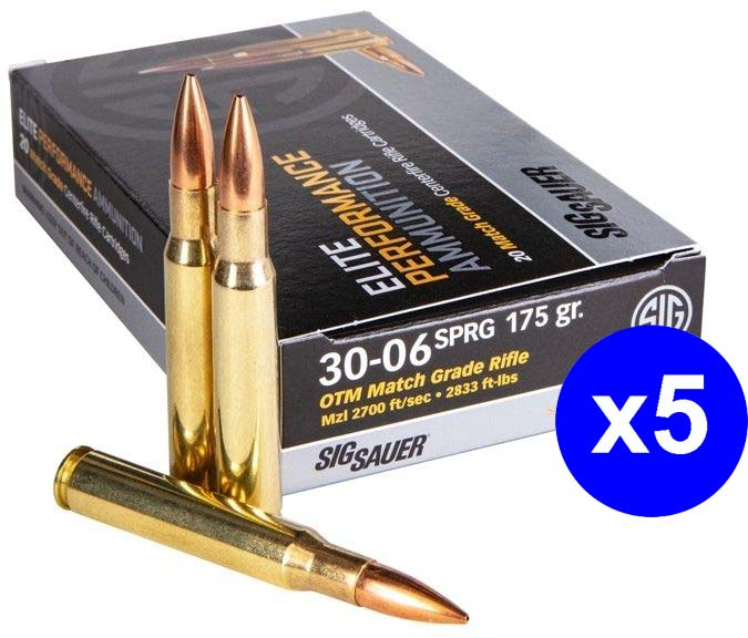 SIG SAUER SIG Match Grade Rifle Ammunition .30-06 Review - The Civil War