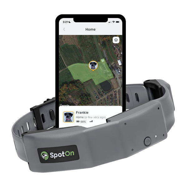 SpotOn Fence GPS Dog Fence Collar Review - The Civil War