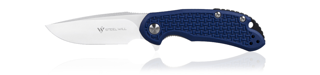 Steel Will =P2 Review - Gun Values Board