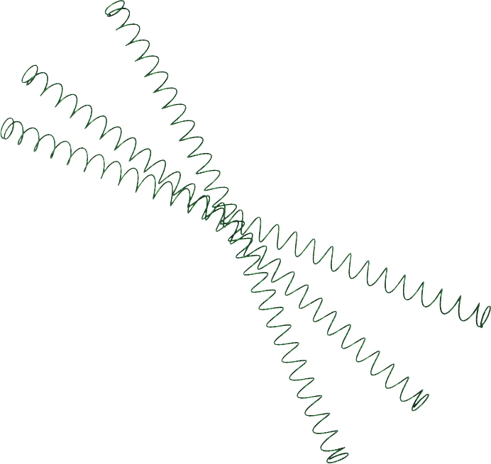 TANDEMKROSS Magazine Springs for Ruger SR22 Review - The Civil War