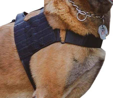 Voodoo Tactical Alpha Duty Harness Review - The Civil War