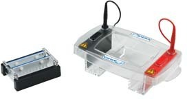 VWR Midi 10 Electrophoresis System E1110-16-1.5 with 1.5 mm x 16-Tooth ...