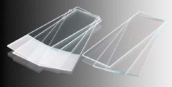 VWR VistaVision Microscope Slides, Plain and Frosted 27525151 Single ...