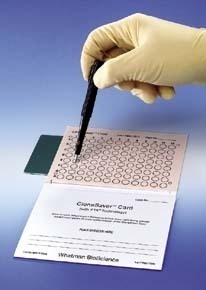 Whatman CloneSaver Card Kit, WB100003 Storage Review - The Civil War