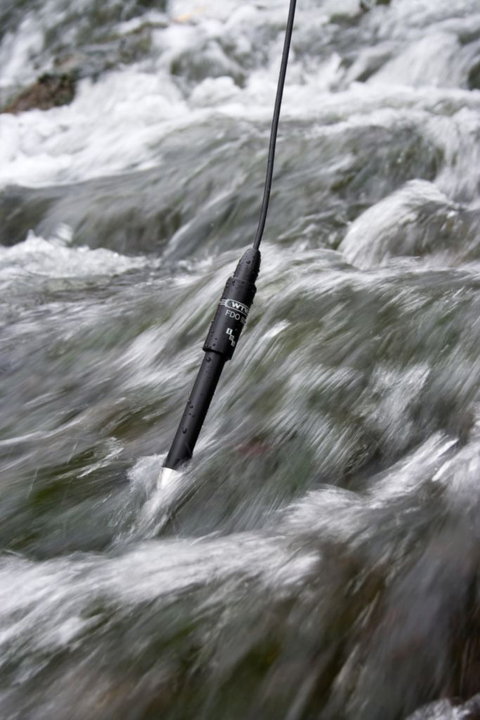 WTW Do Sensor Fdo 925 201300 Review - The Civil War