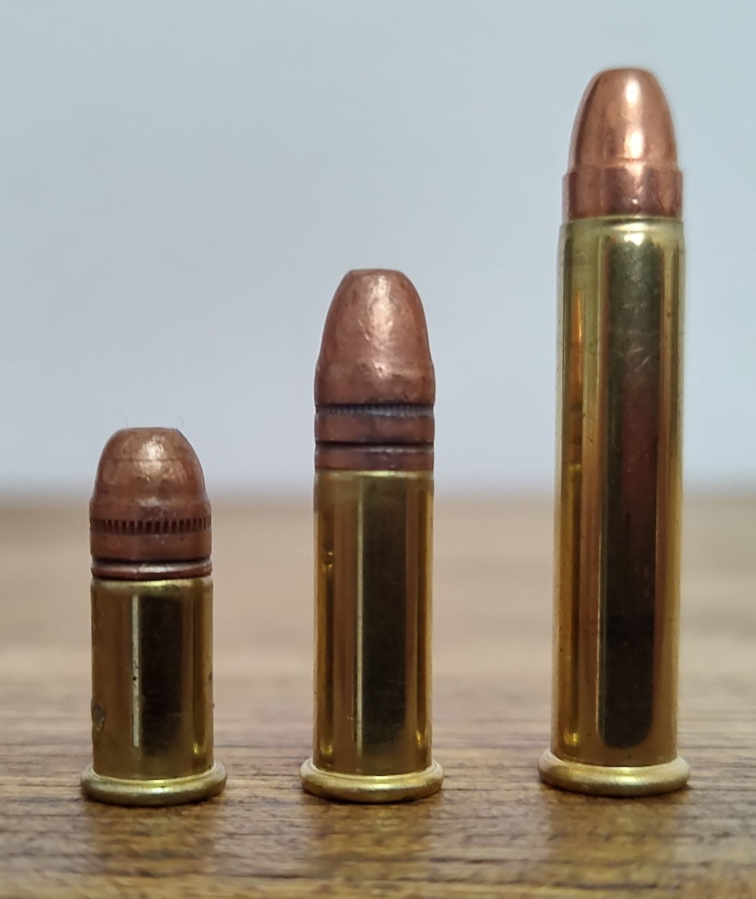 Everything You Need to Know About .22 Ammo | 22LR Ammo